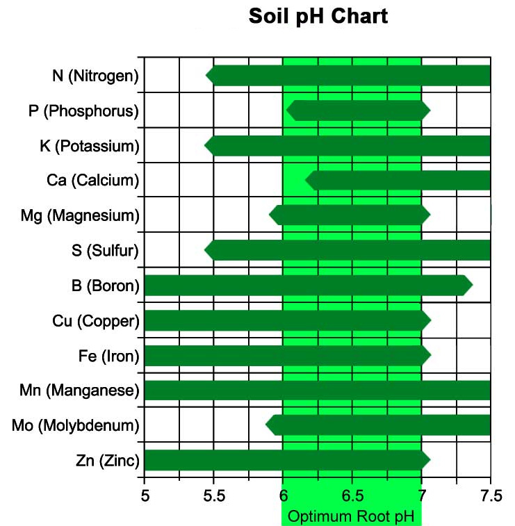 What soil pH is best for Plumeria